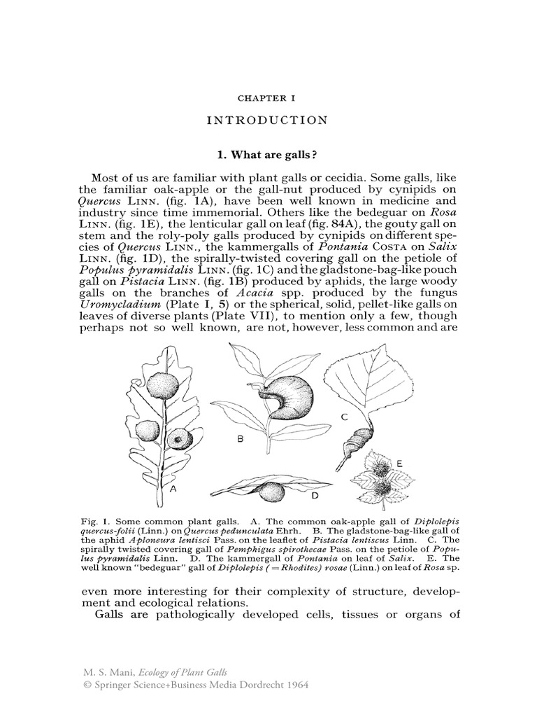 Capitulo 1 Introduccion | PDF | Neoplasms | Leaf Capitulo 1 Introduccion | PDF | Neoplasms | Leaf