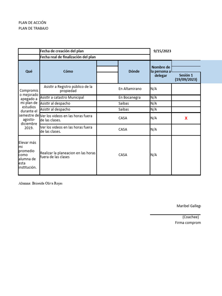 Plan de Acción-1 | PDF
