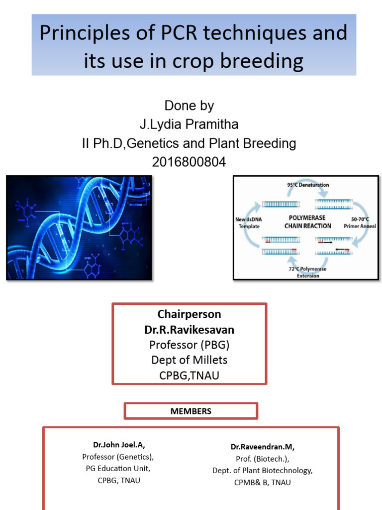 PCR Techniques in Crop Breeding | PDF | Reverse Transcription ...