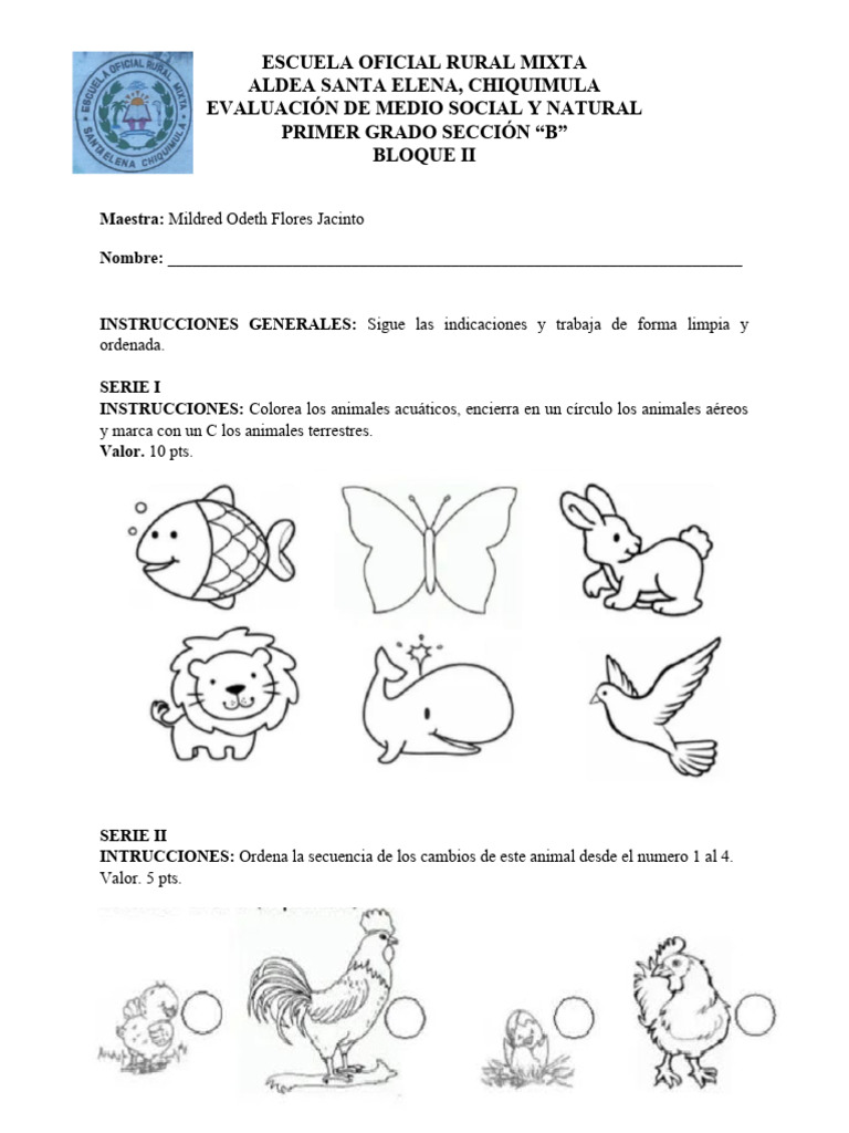 Evalucion medio social y natural primer grado | PDF