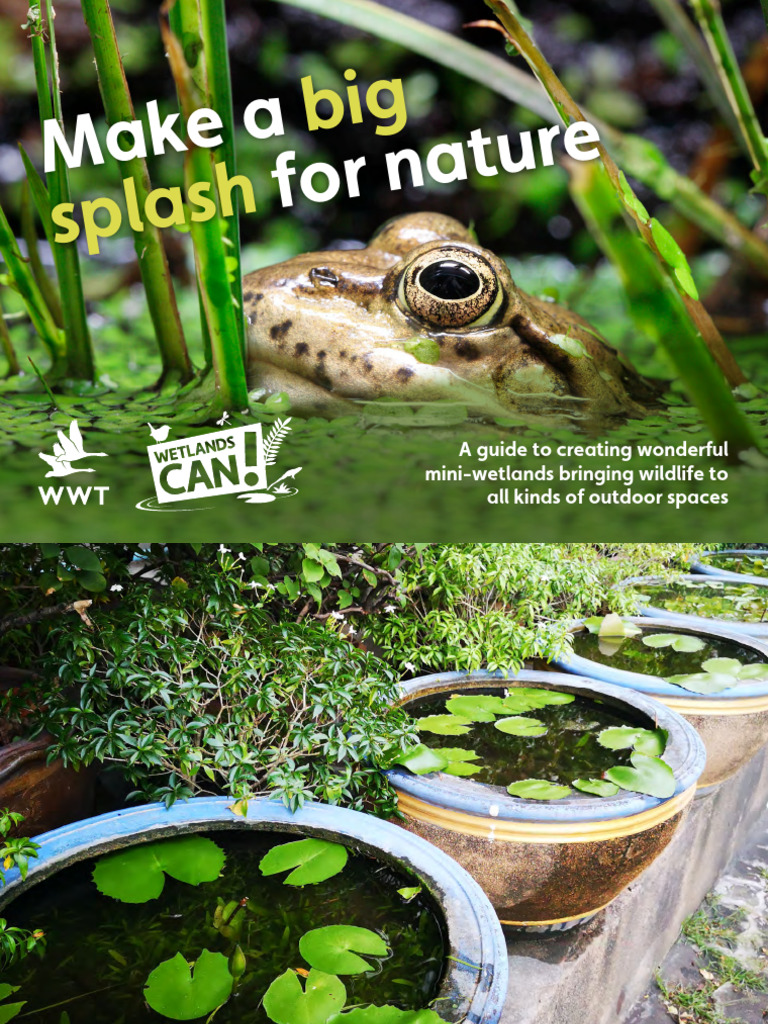 WWT Make A Big Splash For Nature Guide | PDF | Home & Garden | Science & Mathematics