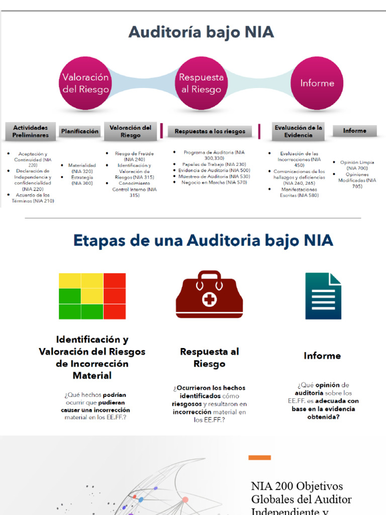 Clase 3. NIA 200 | Descargar gratis PDF | Auditoría | Contralor