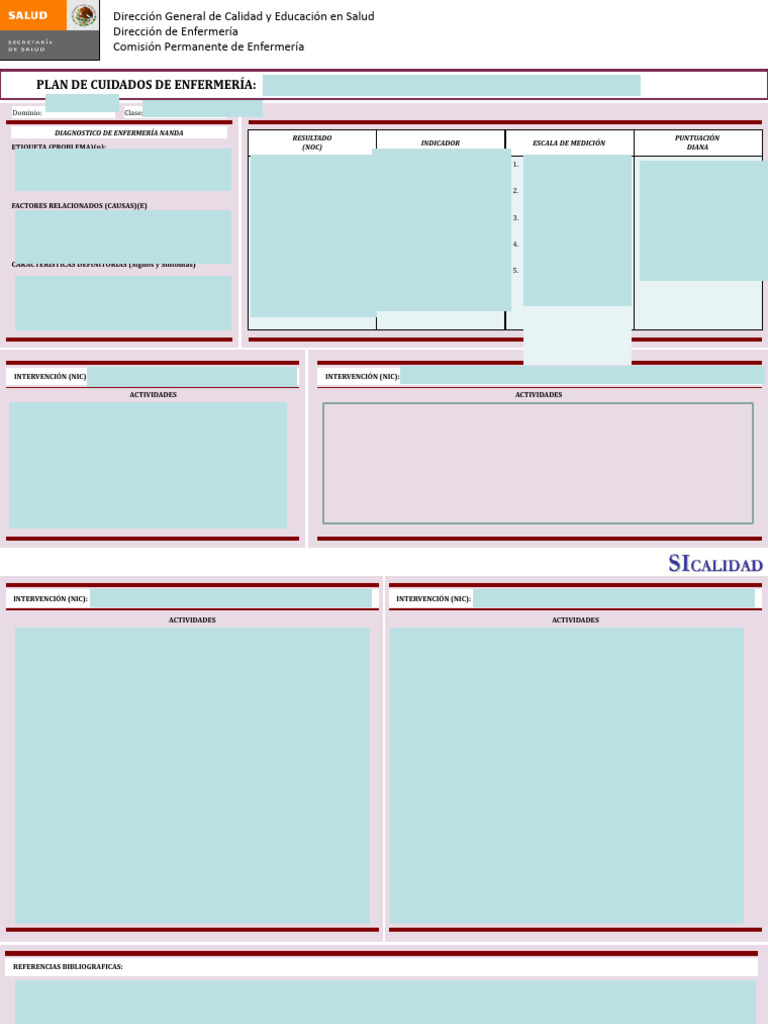 FORMATO PLACE (Secretaría de Salud) | PDF