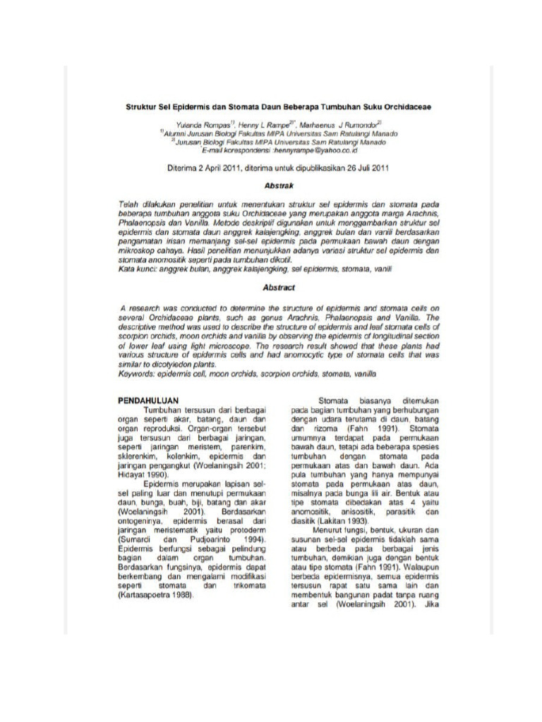 Resume Radifan | PDF