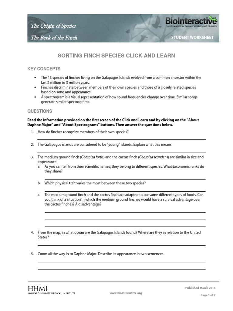 Sorting Finch Species Student Worksheet | PDF | Biology | Evolutionary ...
