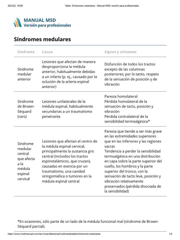 Síndromes Medulares: Causas y Síntomas | PDF | Médula espinal | Medicina
