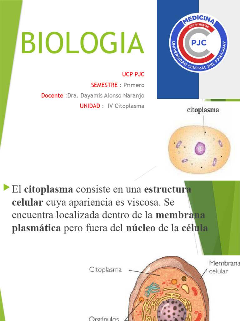 Aula 4 Citoplasma | PDF | Citoplasma | Citosol