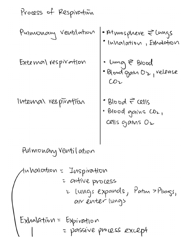 Process of Respiration | PDF