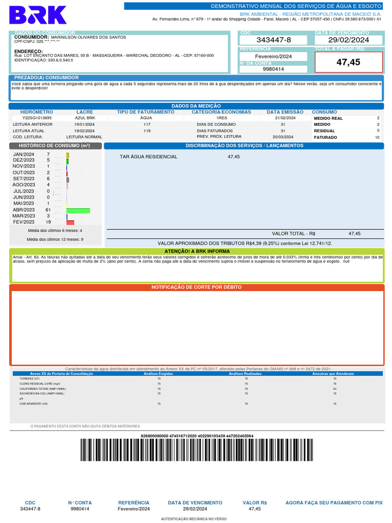 Fatura BRK 2-2024 | PDF