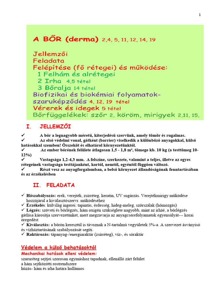 1 A BŐR Felépítése 2021 02 | PDF