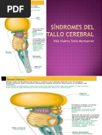 Deterioro Rostrocaudal: Etiología | PDF | Medicina | Sistema nervioso