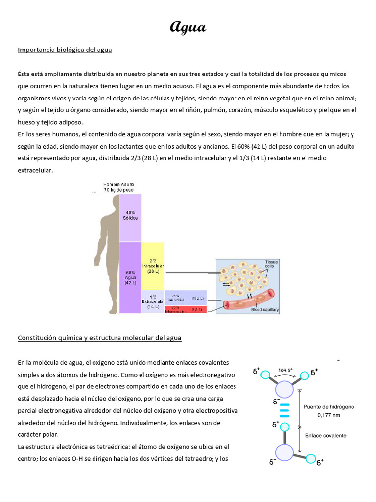 Agua | PDF | Polaridad química | Enlace covalente