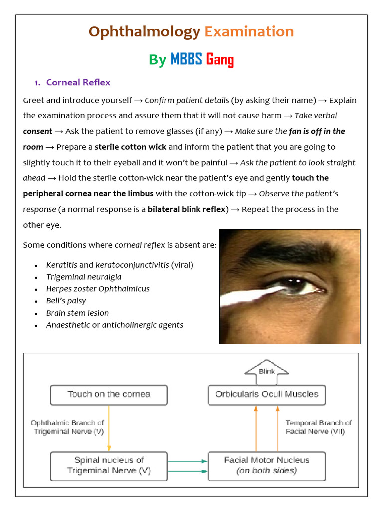 Examination Techniques | PDF
