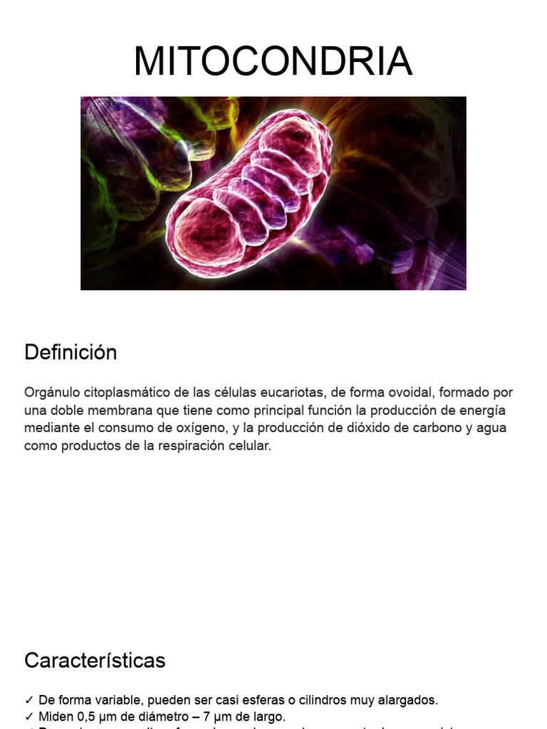 Tema 6 - Mitocondria y Resp Celular | PDF | Dieta y nutrición | Química
