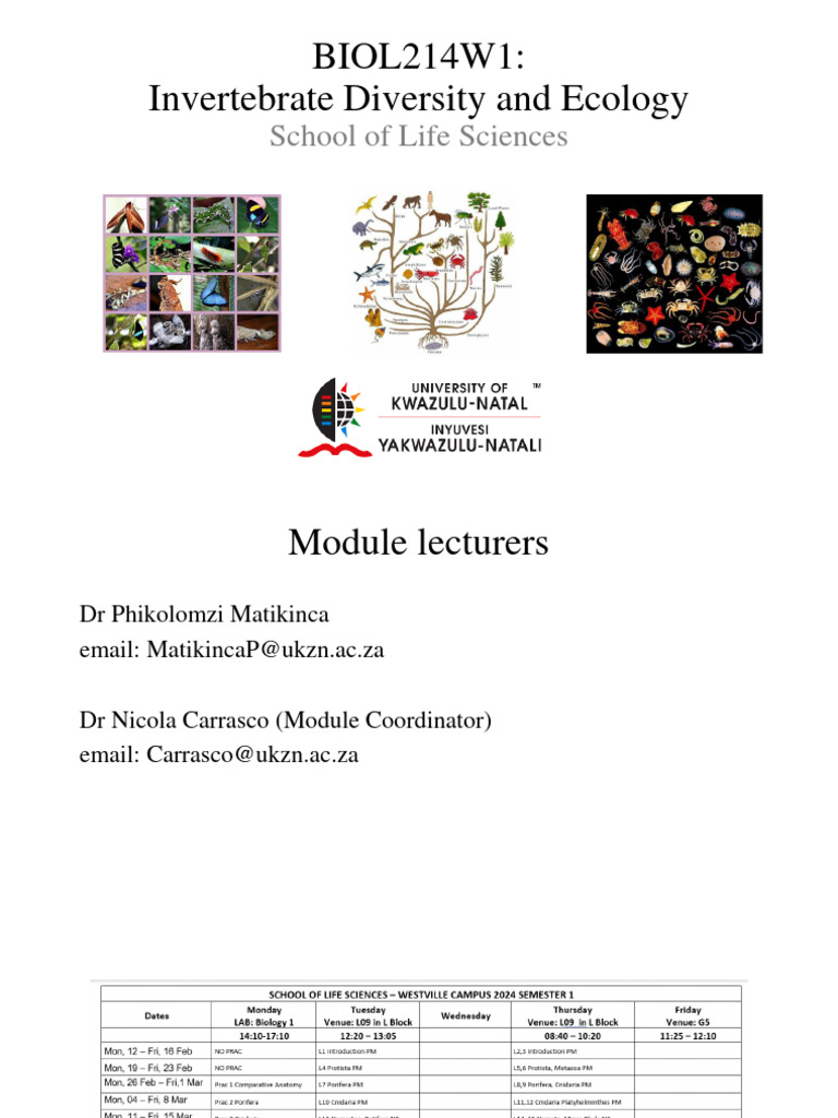 Lecture 1 A Module Introduction 2 Pdf