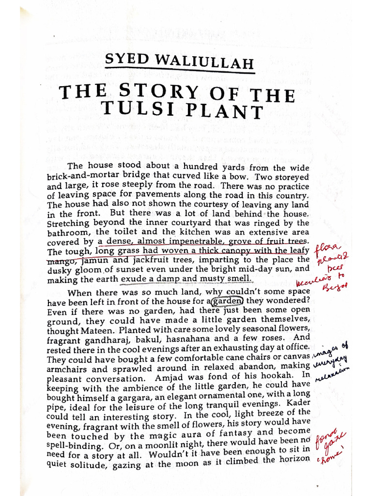 the tale of tulsi plant | PDF