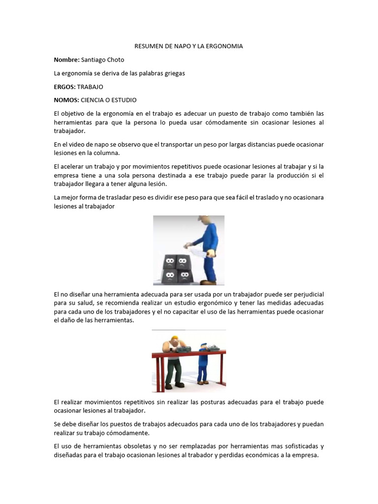 Resumen De Napo Y La Ergonomia Pdf