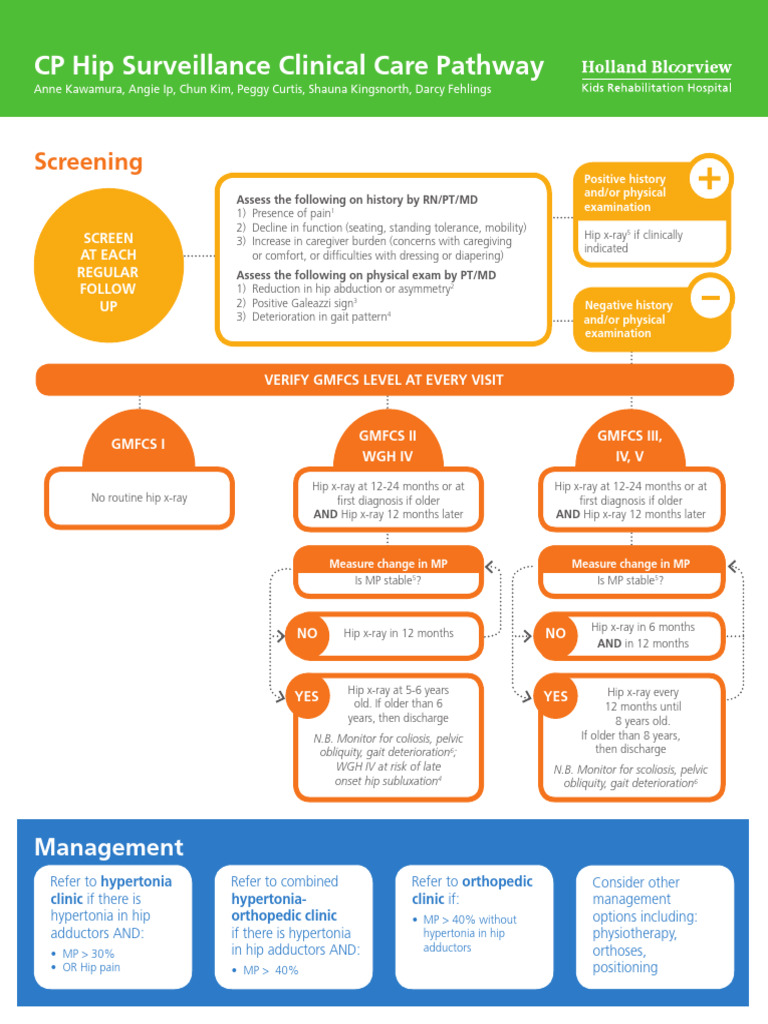 Hip Surveillance Pathway | PDF | Anatomical Terms Of Motion | Pelvis