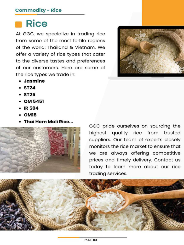 Rice | PDF
