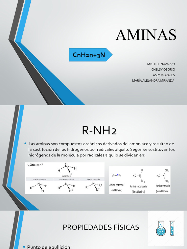 Propiedades y Usos de las Aminas | PDF | Amina | Ácido