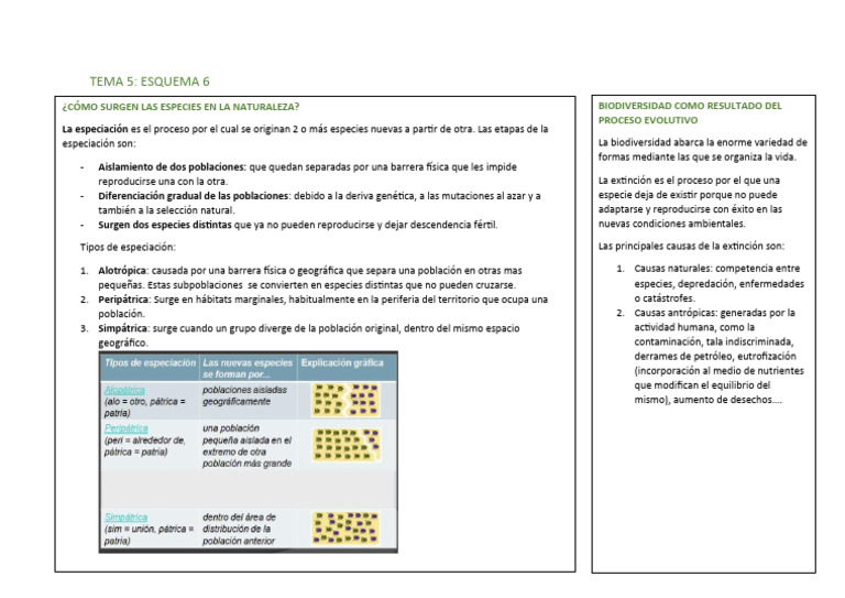 Esquema 6 Tema 5 2022 | PDF | Naturaleza | Entorno natural