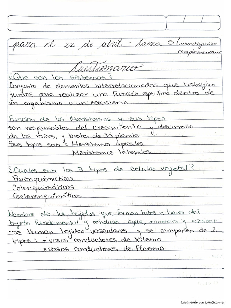 Trabajos en Clase, Mario, James. | PDF