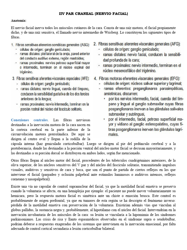 Iiv Par Craneal | PDF | Anatomía humana | Anatomía