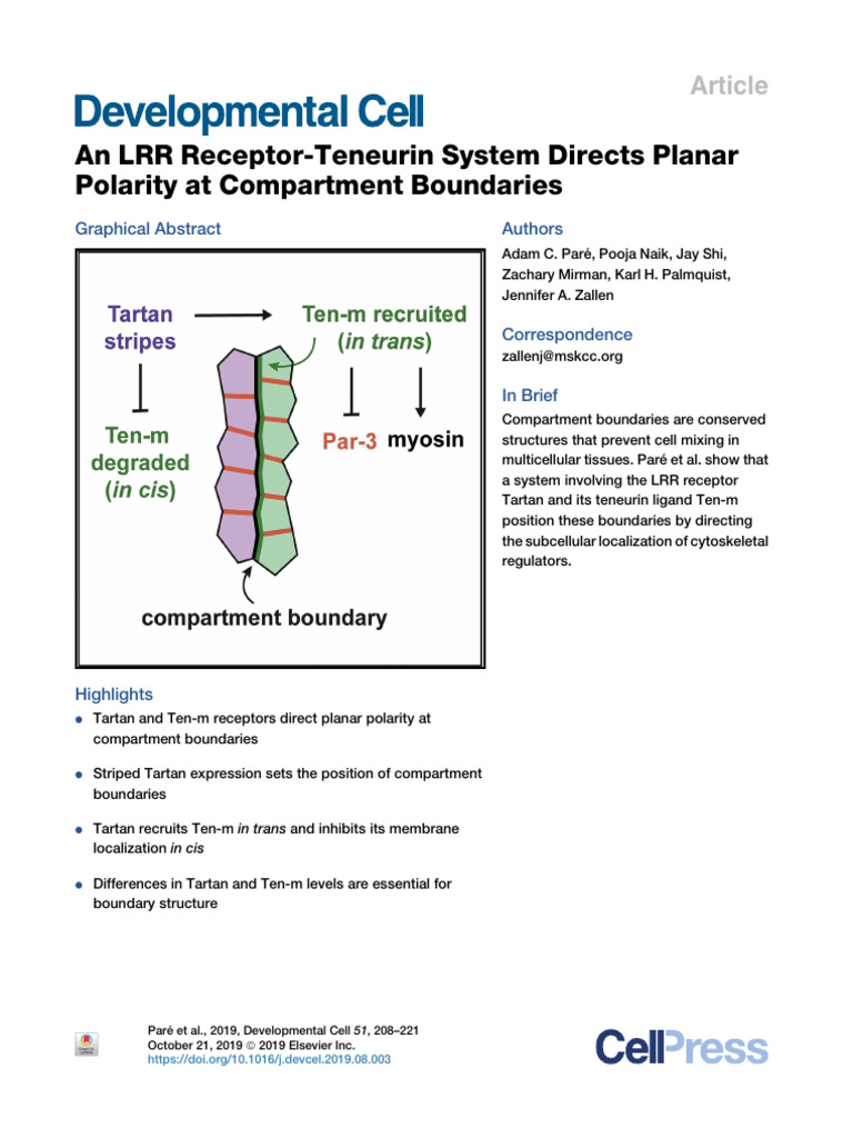 An LRR Receptor-Teneurin System Directs Planar Polarity at Compartment ...