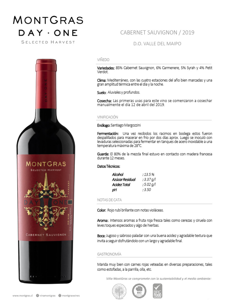 2019 MontGras DAY ONE Cabernet Sauvignon ESP | PDF