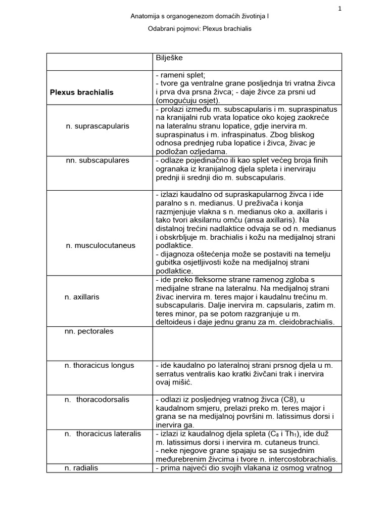 Anatomija Životinja - Plexus Brachialis | PDF