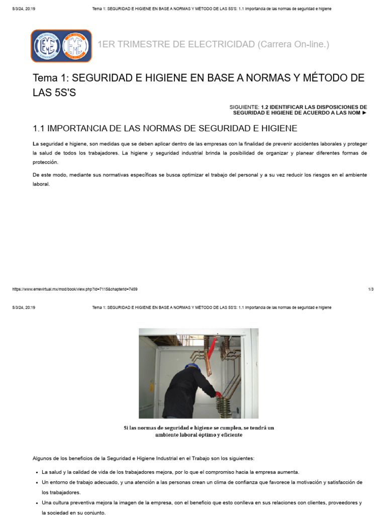 Tema 1 - SEGURIDAD E HIGIENE EN BASE A NORMAS Y MÉTODO DE LAS 5S'S - 1.1 Importancia de Las ...