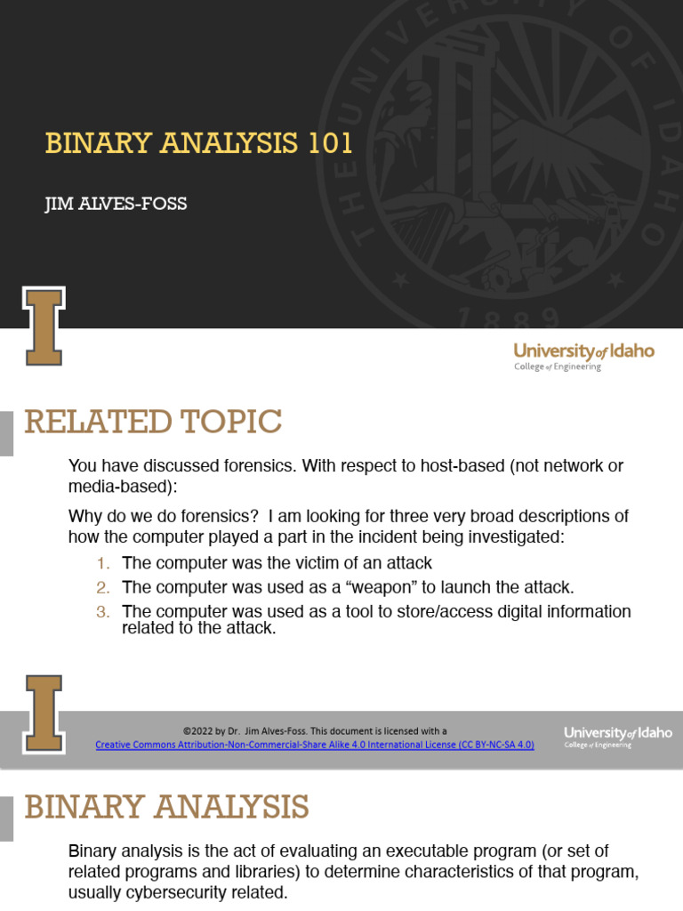 Binary Analysis 101 Pdf Computer Security Security