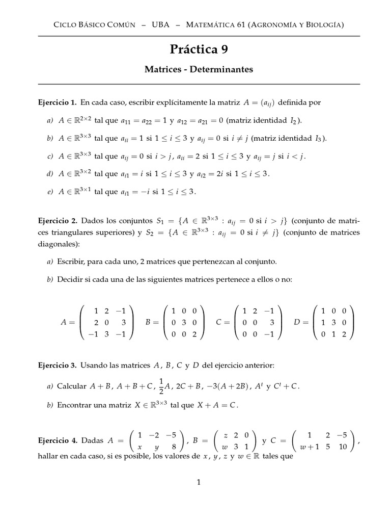 Matrices - Determinantes | PDF | Matriz (Matemáticas) | Objetos matemáticos