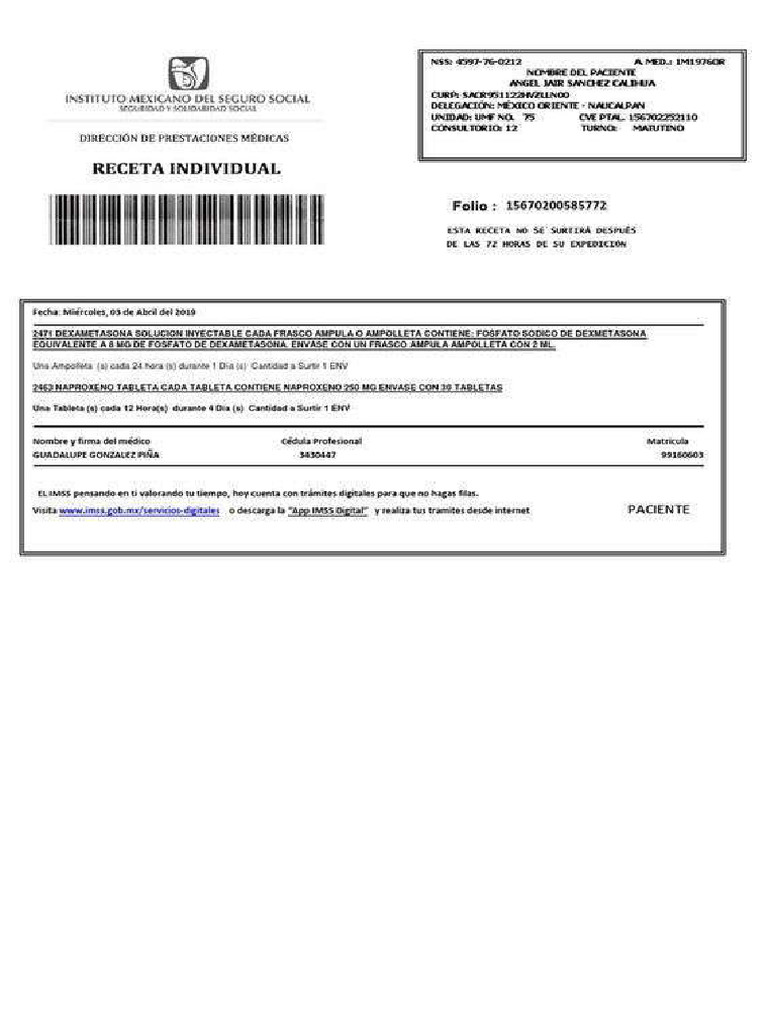 receta-IMSS Editable PDF | PDF