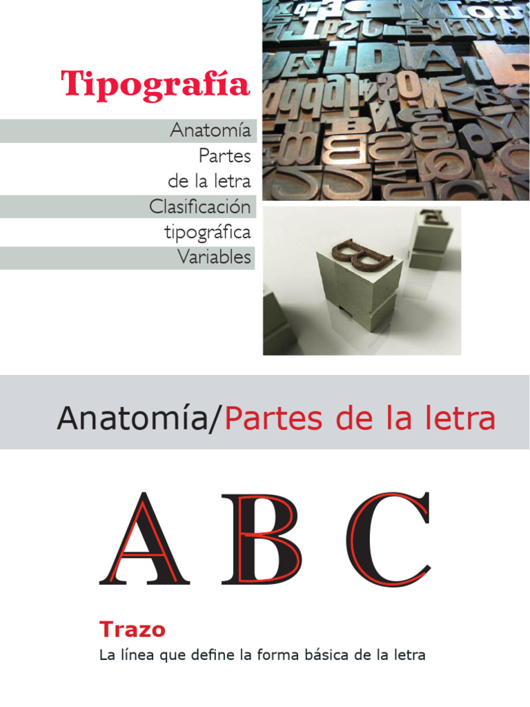 Anatomía de la Tipografía y Letras | PDF | Tipos de letra ...
