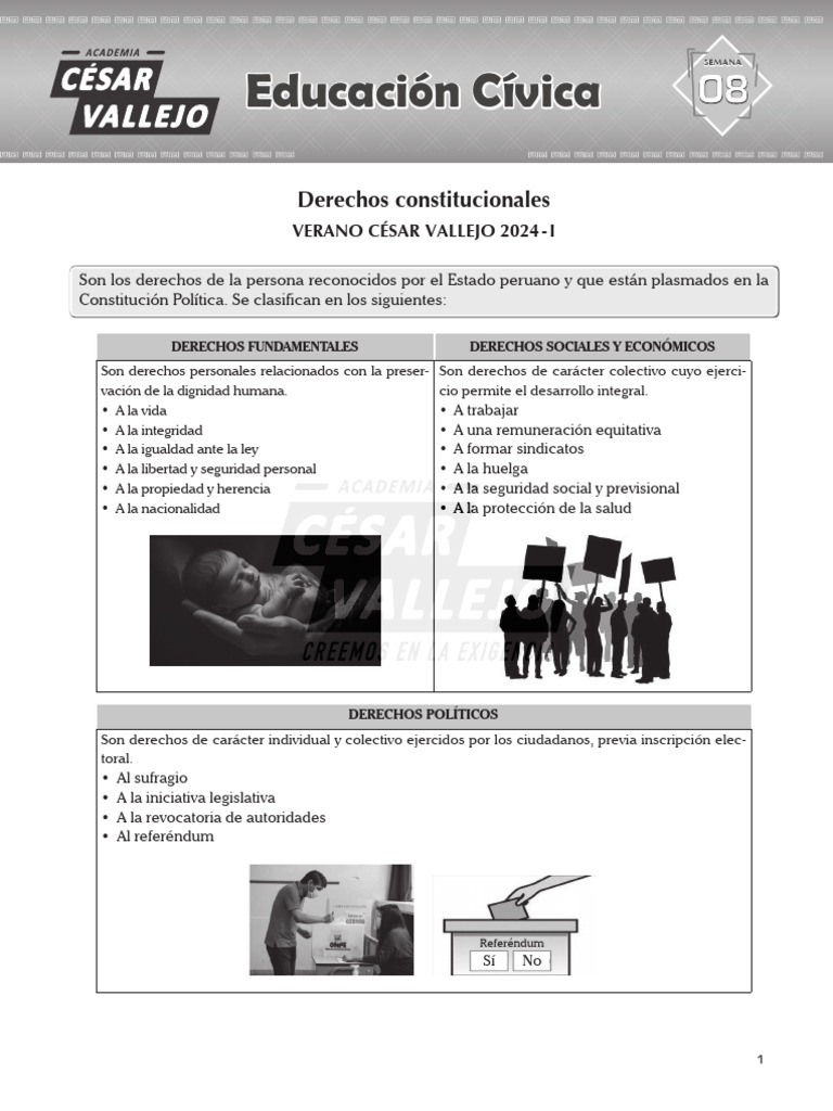 Ci - VCV - Dir - Sem 08 | PDF | Derechos | Derecho Constitucional