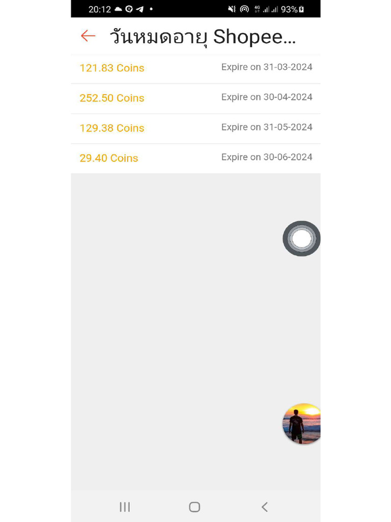 Screenshot 20240313-201241 Shopee | PDF