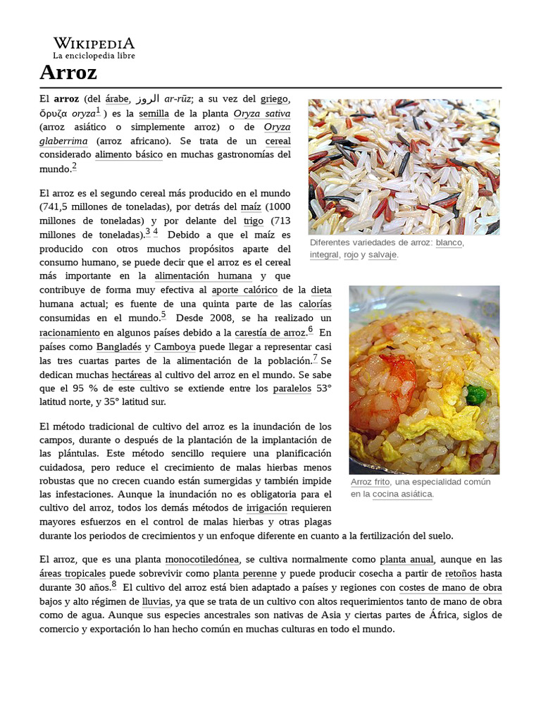Arroz | PDF | Arroz | Alimentos