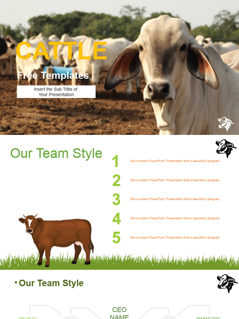 Plantilla Powerpoint de Ganado | PDF | Microsoft Power Point | Infographics