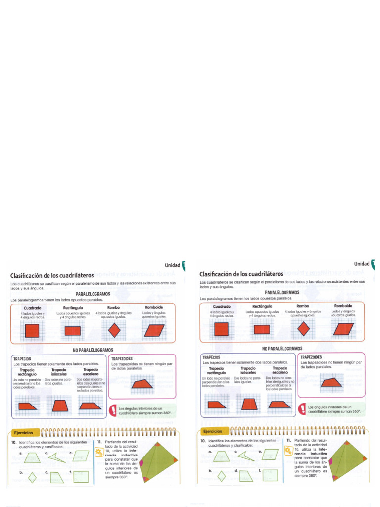 Nuri Clasificacion | PDF