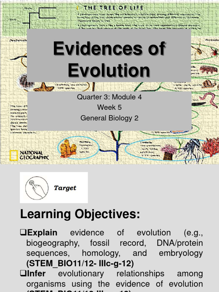 Week 7 - Evidences of Evolution | PDF | Evolution | Homology (Biology)