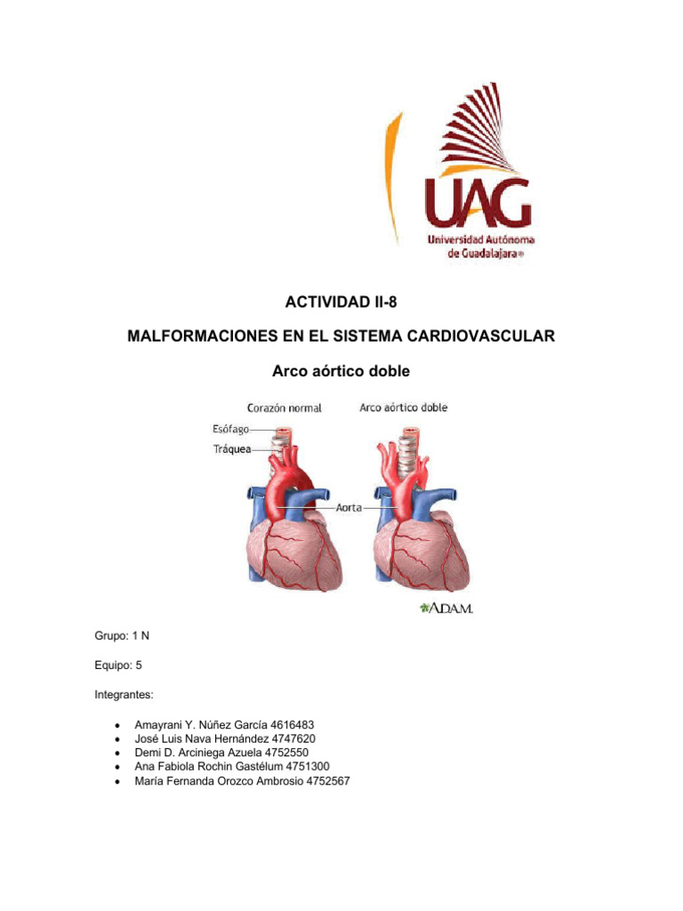Actividad Ii-8 | PDF | Aorta | Tos