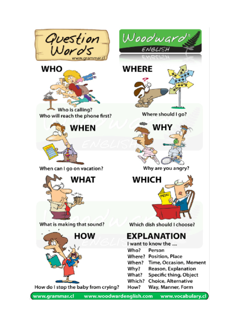 Question Words | PDF