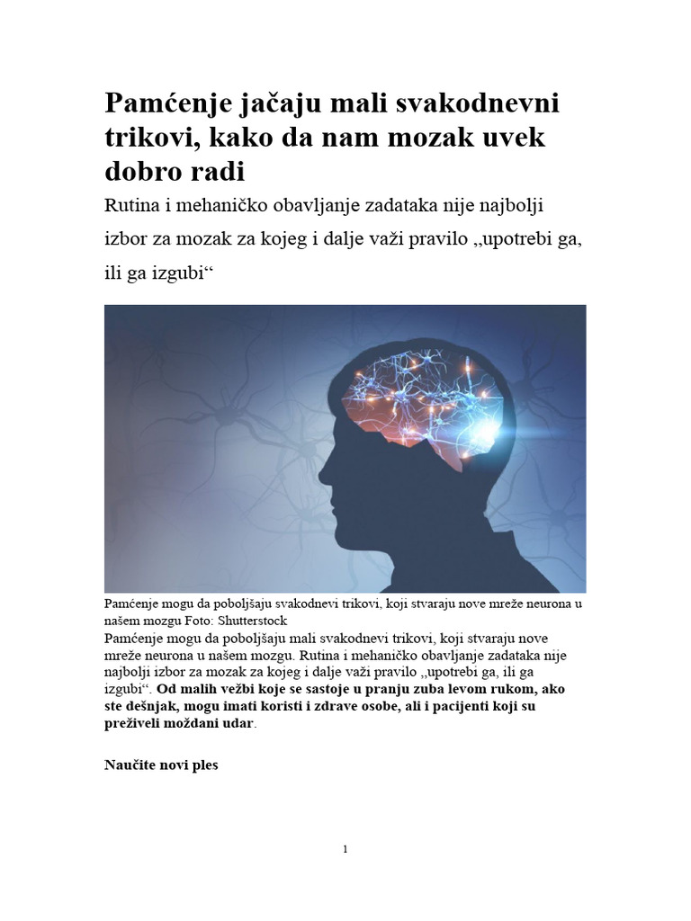 Pamćenje I Koncentracija (11. Pred) | PDF