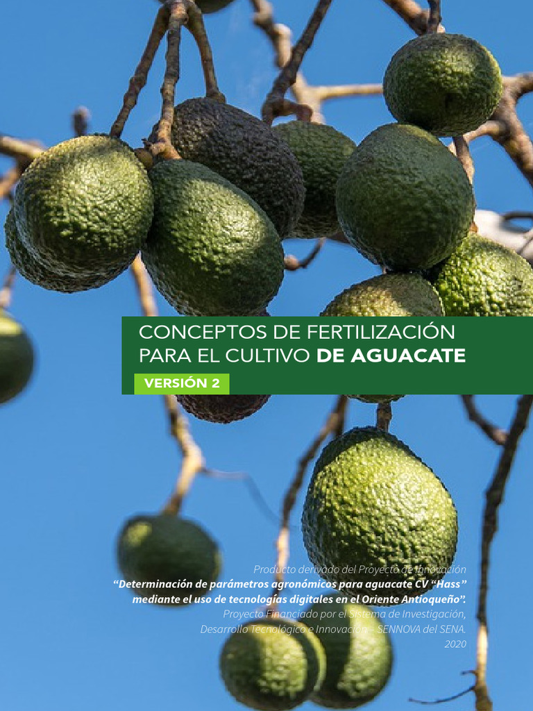 Conceptos_de_fertilizacion_cultivo_aguacate | PDF | Agricultura | Fertilizante
