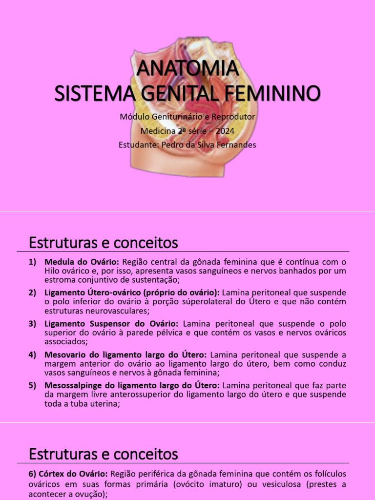 Anatomia Sistema Genital Feminino PDF Clit ris P lvis