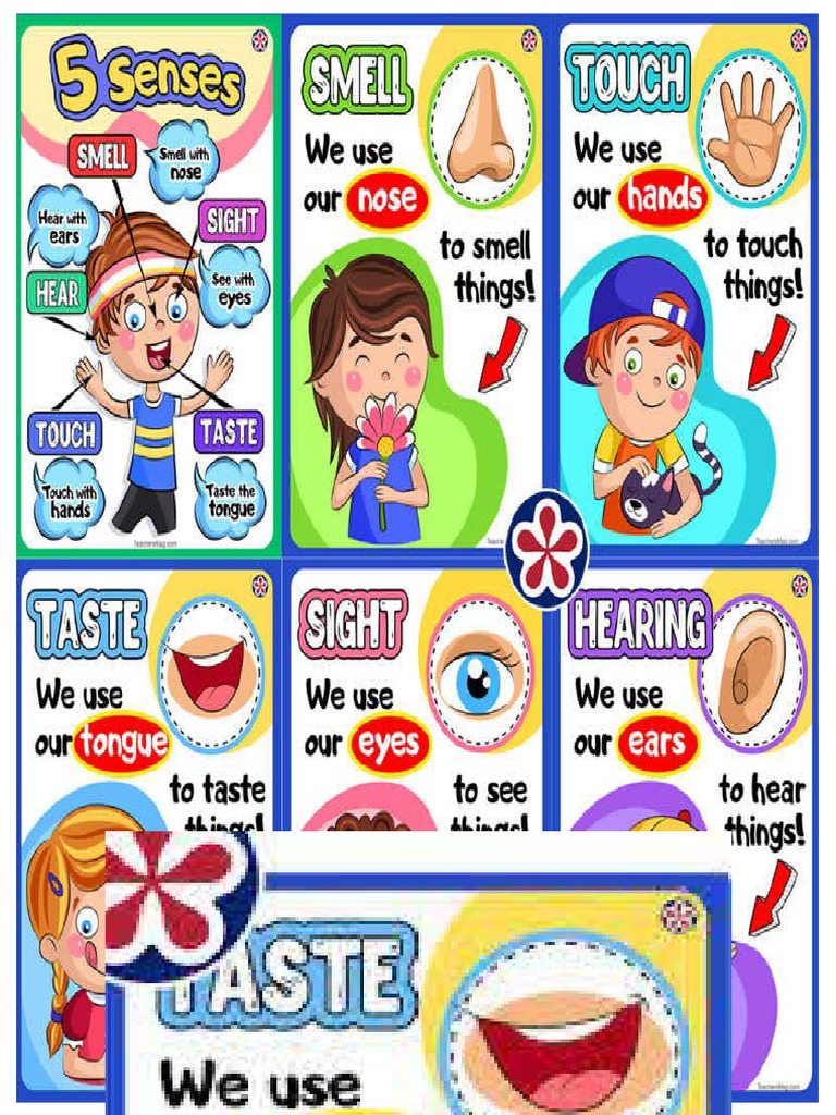 SHAIRAH_ Five Senses | PDF