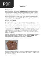 Clast vs. Matrix Supported Breccias | PDF | Clastic Rock | Sedimentary Rock