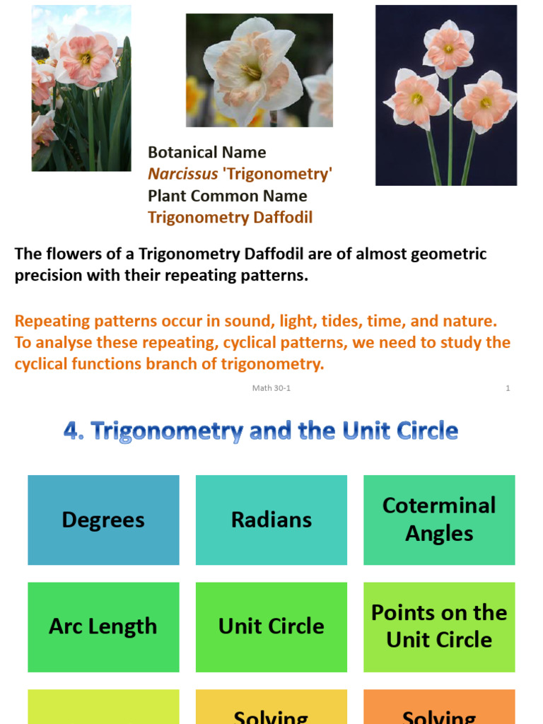Trigonometry and Unit Circle Guide | PDF | Angle | Circle