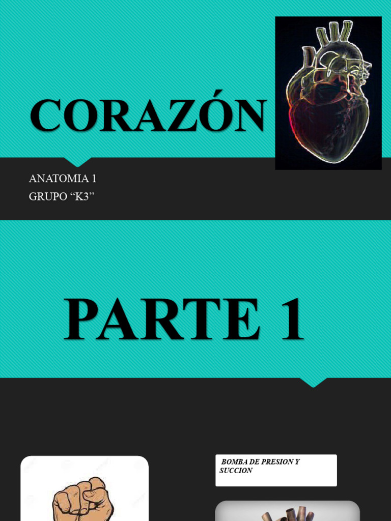 CORAZÓN | PDF